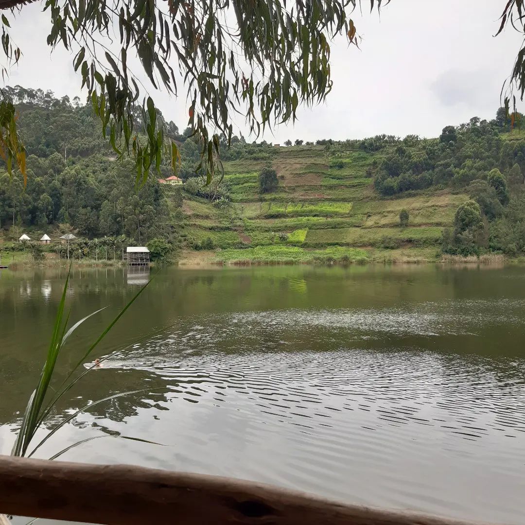 3hrs canoe trek - OM HOSTEL BUNYONYI
