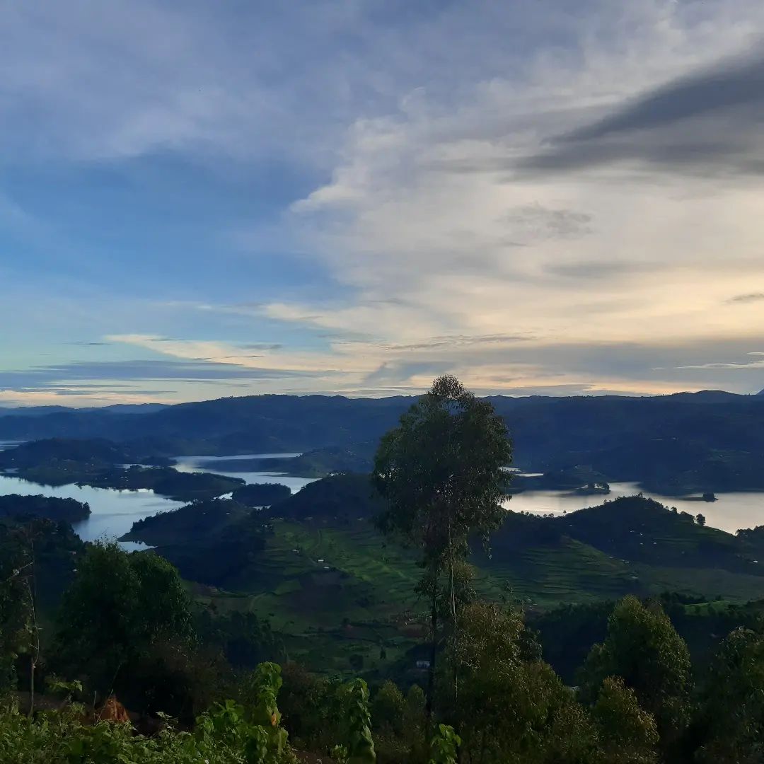 1 day canoe trek - OM HOSTEL BUNYONYI